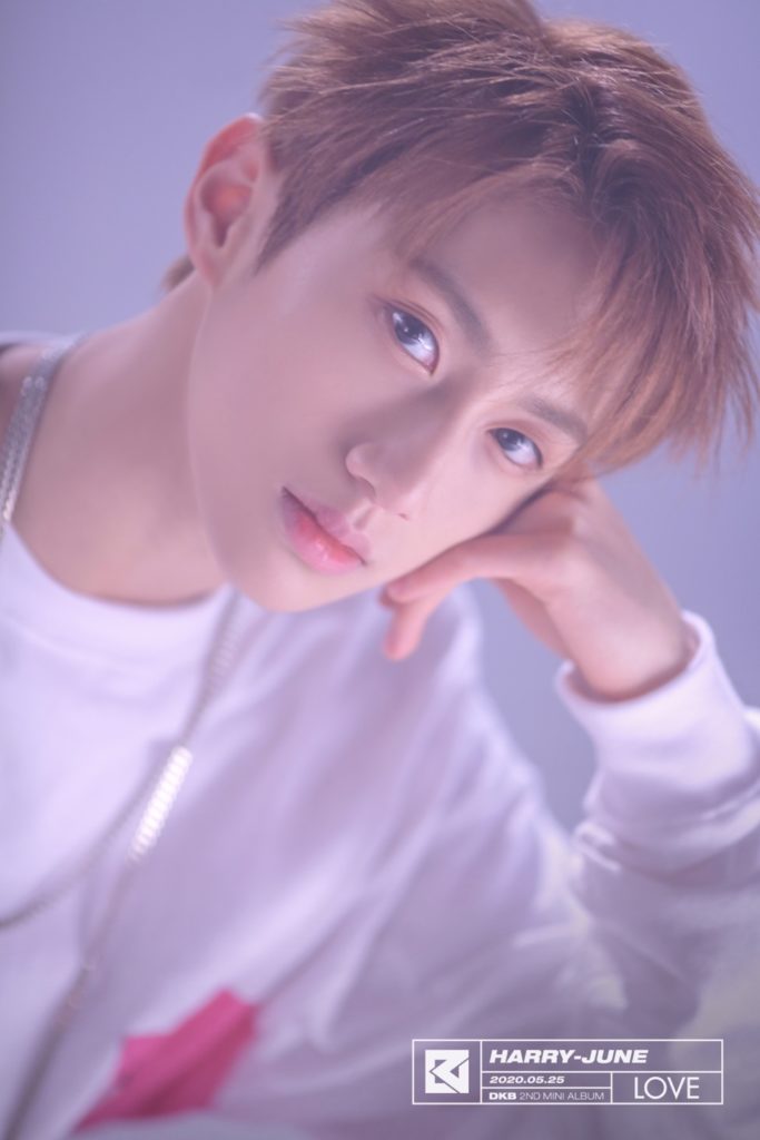 DKB HARRY-JUNEのティザーイメージを公開‥清涼感あふれる眼差し - DANMEE ダンミ