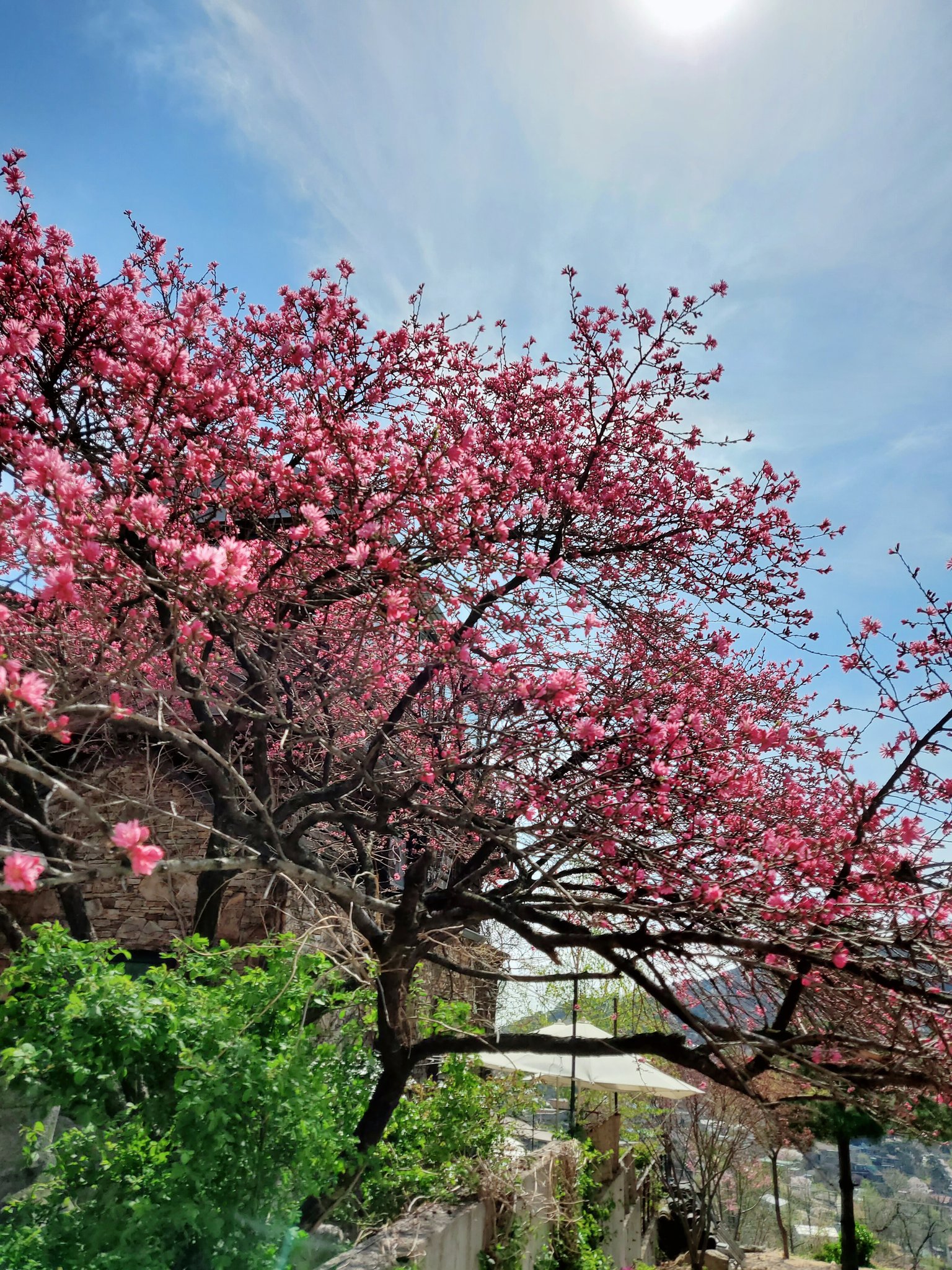 BTS RM ツイッター更新‥「butterful days」 - DANMEE ダンミ