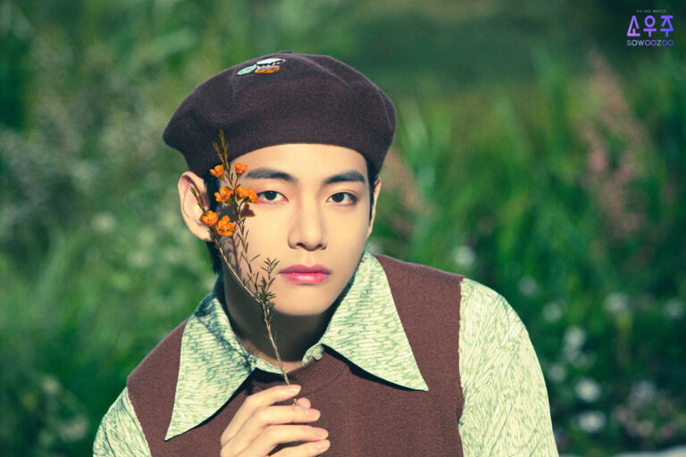 Wikipediaで最も多く検索されるBTSメンバー Vの持つ大きな ’役割’ - DANMEE ダンミ