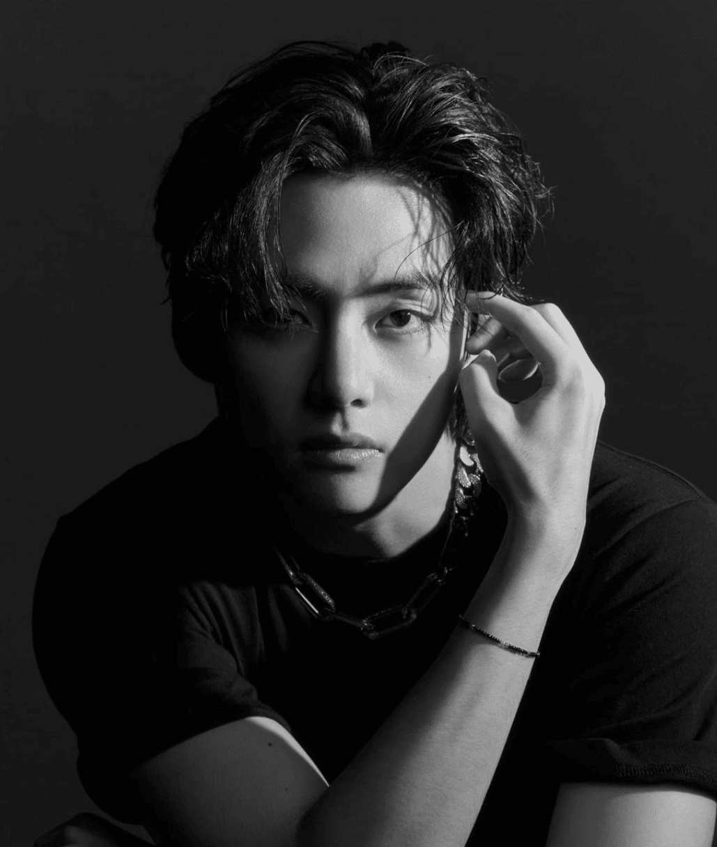 BTS V 日本のK-POPファンが選ぶ「ビジュアル王」1位に【回答3760件】 - DANMEE ダンミ