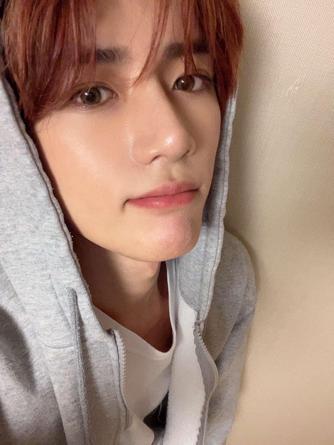 TXT ボムギュ、癒される「犬顔」韓国男性アイドル1位にランクイン！ - DANMEE ダンミ