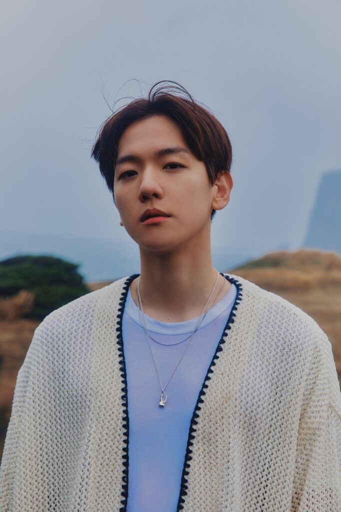 日本ファンが選ぶ「SM メインボーカル」ベスト3は全員EXOメンバー - DANMEE ダンミ