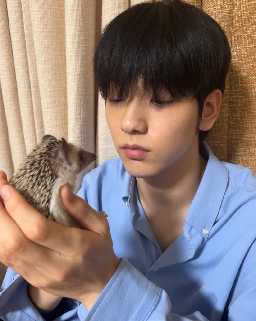 私たち付き合ってた？「リアコ」インスタを披露するK-POP男性アイドル 5人 - DANMEE ダンミ