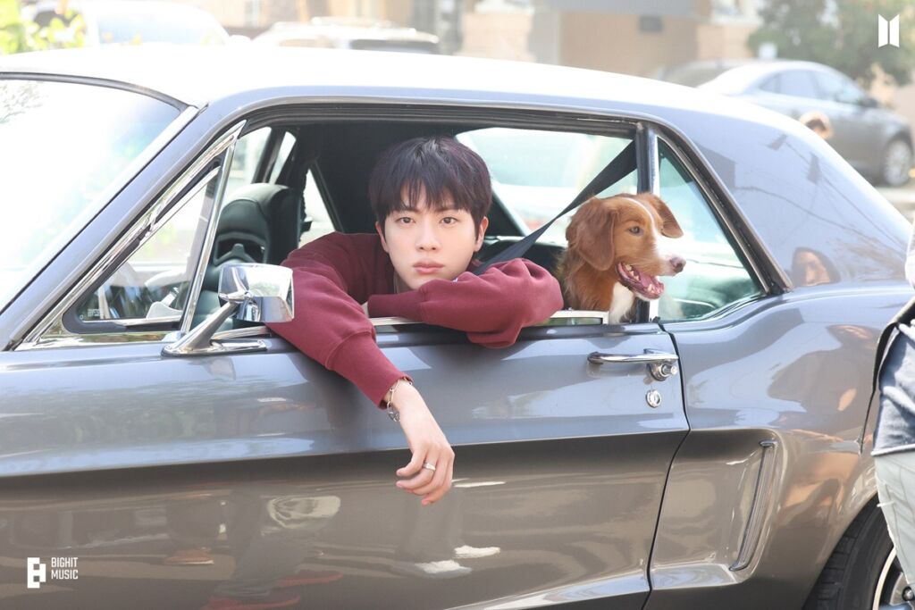 【4319人参加】BTSジン、日本のファンが選んだ「K-POPベスト・オブ・長男」調査で1位 - DANMEE ダンミ